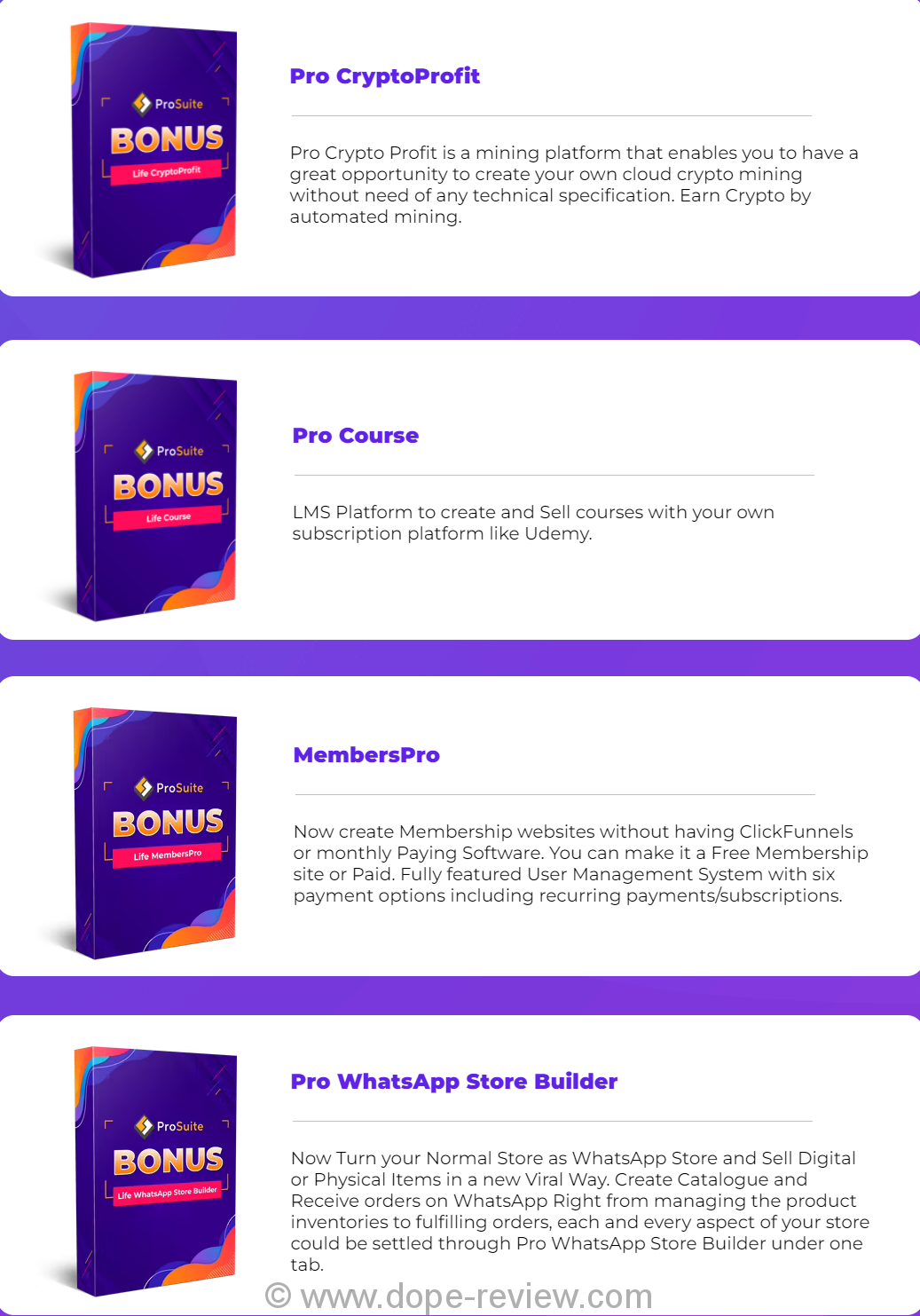ProSuite Review & Bonuses - Should I Get This Software?